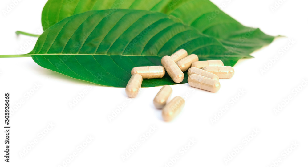 capsule on kratom leaf (Mitragyna speciosa) Mitragynine isolate on ...