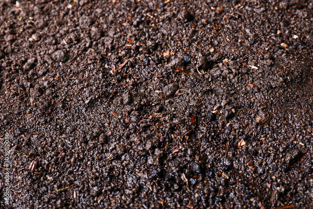 Brown soil texture as background Stock Photo | Adobe Stock