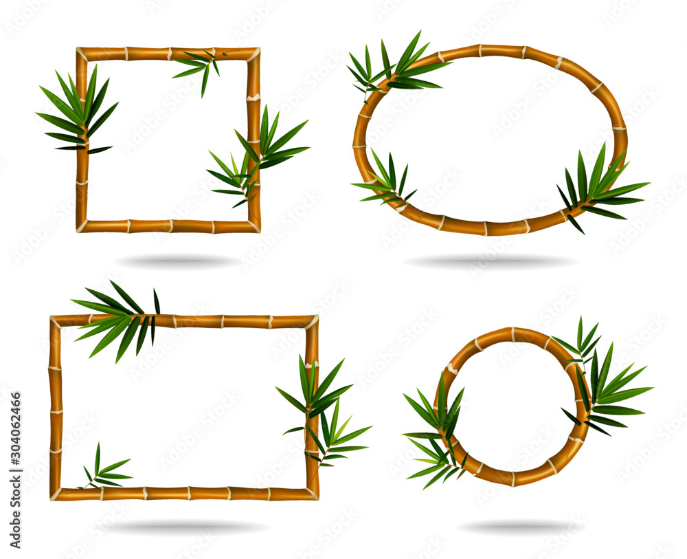 Bamboo Border Vector