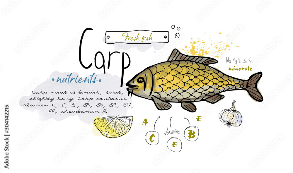 Fish hand drawn set watercolor ink, food vitamin menu restaurant ...