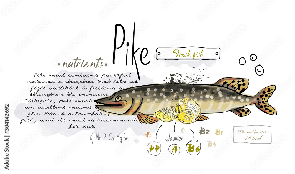 Fish hand drawn set watercolor ink, food vitamin menu restaurant ...