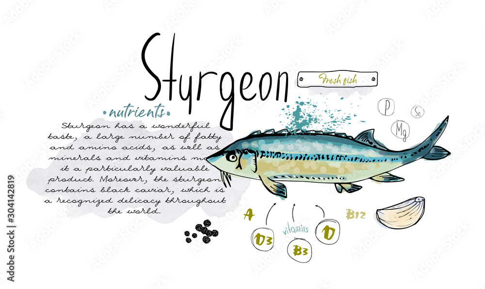 Fish hand drawn set watercolor ink, food vitamin menu restaurant ...