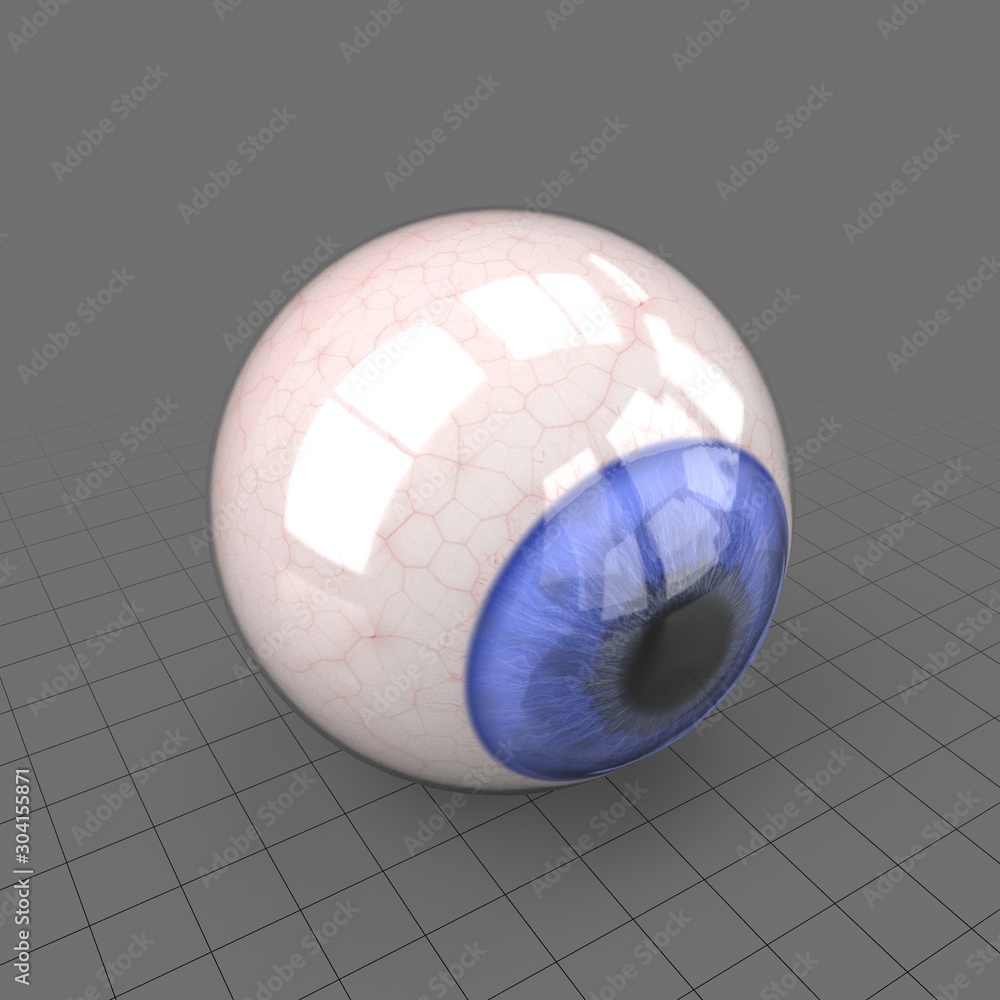 Human eyeball Stock 3D asset | Adobe Stock