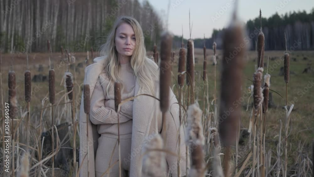 sedge, stumps, stump, girl in nature, forest, natural, nature ...