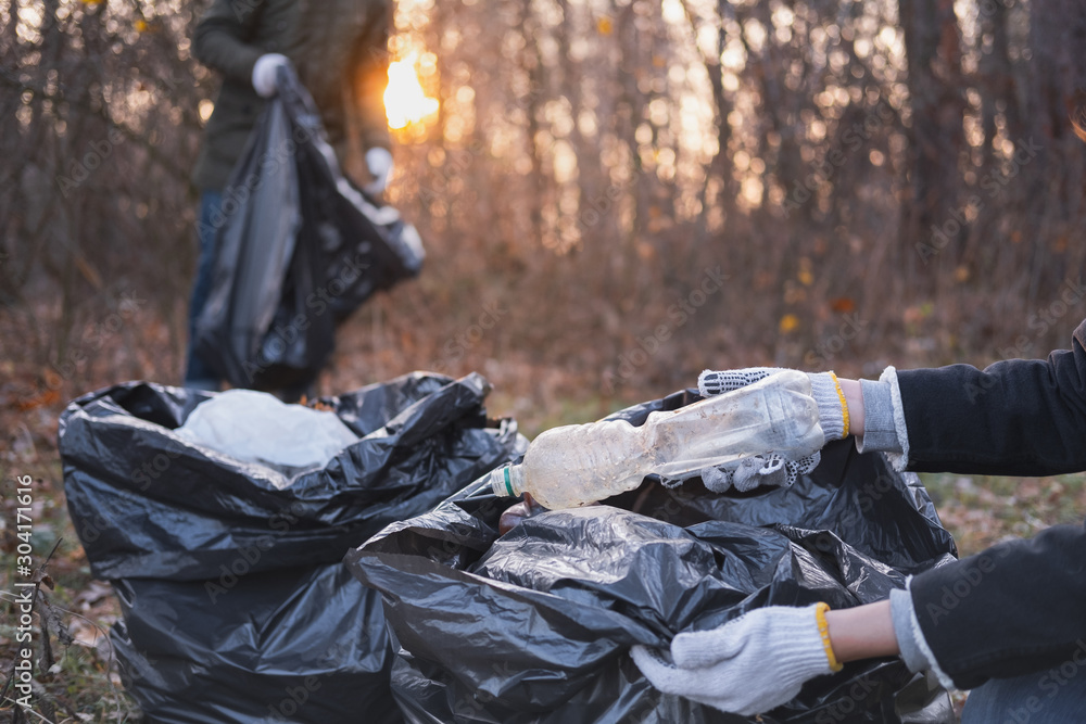 Environmental awareness concept: people clean up forest from plastic ...