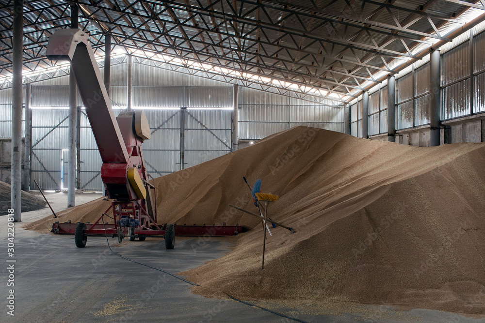 warehouse, a shed for storing grain crops Stock Photo | Adobe Stock