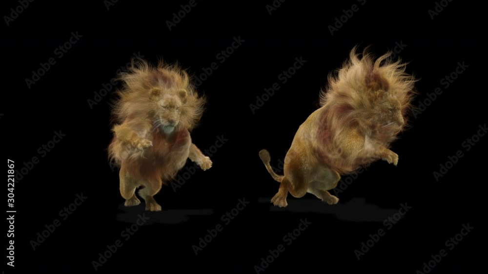lion CG fur 3d rendering animal realistic CGI VFX Animation Loop alpha ...