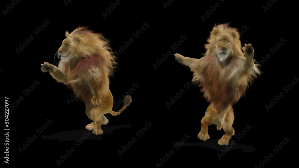lion CG fur 3d rendering animal realistic CGI VFX Animation Loop alpha ...