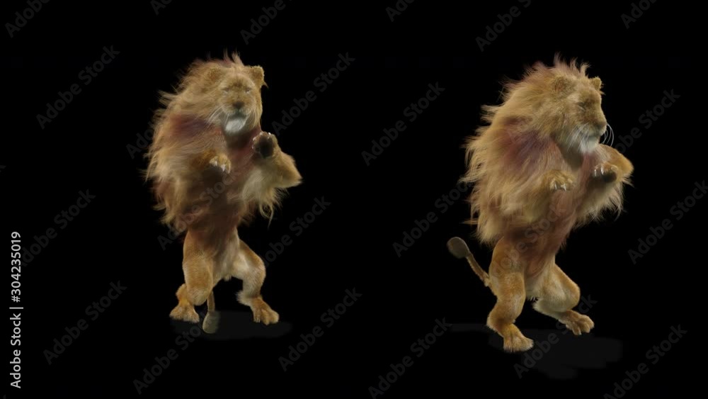 lion CG fur 3d rendering animal realistic CGI VFX Animation Loop alpha ...