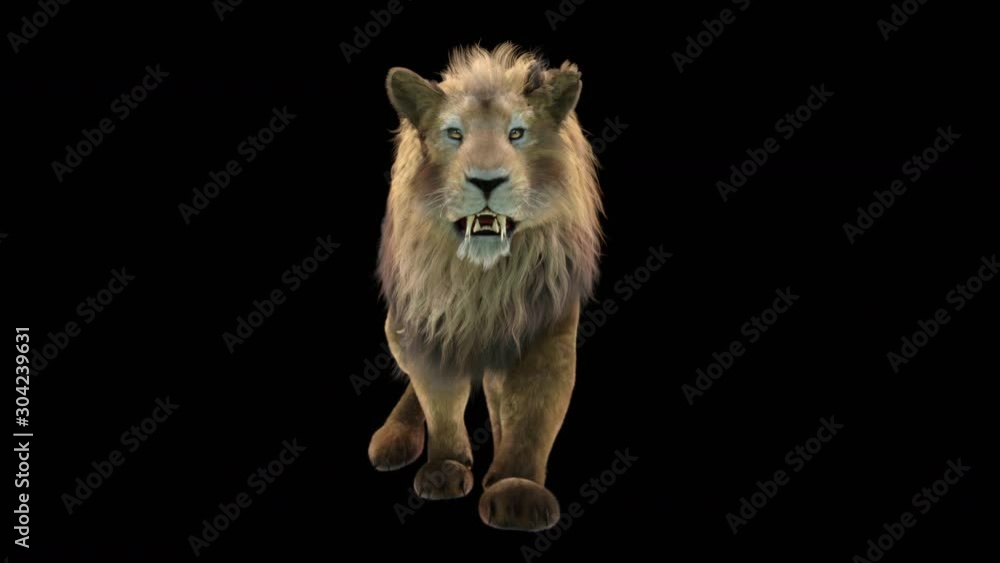 lion Zoo CG fur 3d rendering animal realistic CGI VFX Animation Loop ...
