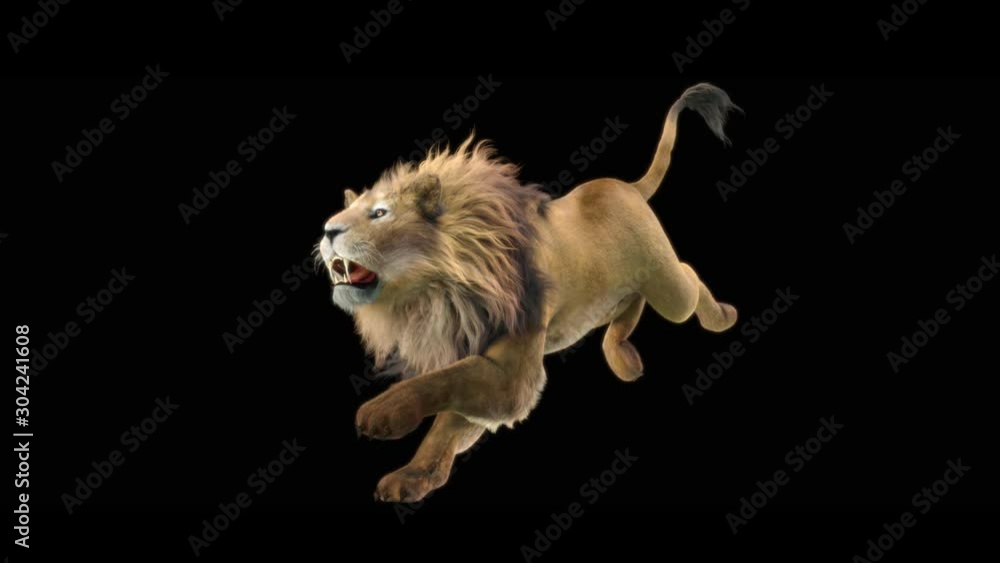 lion Zoo CG fur 3d rendering animal realistic CGI VFX Animation Loop ...