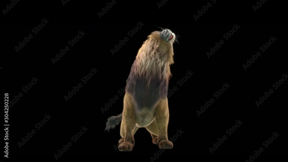 lion Zoo CG fur 3d rendering animal realistic CGI VFX Animation Loop ...