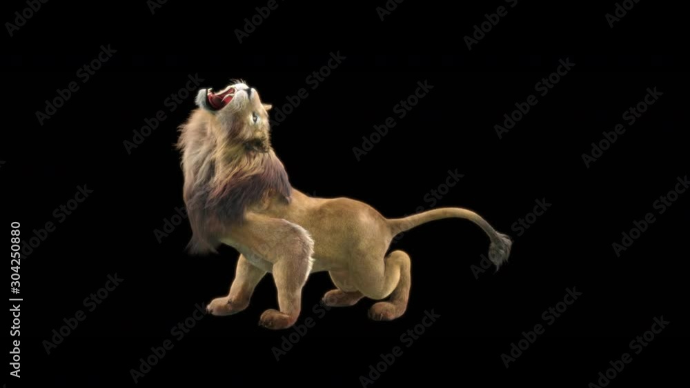 lion Zoo CG fur 3d rendering animal realistic CGI VFX Animation Loop ...