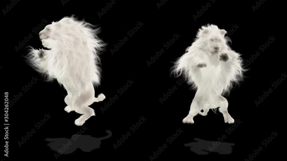 White lion CG fur 3d rendering animal realistic CGI VFX Animation Cheer ...