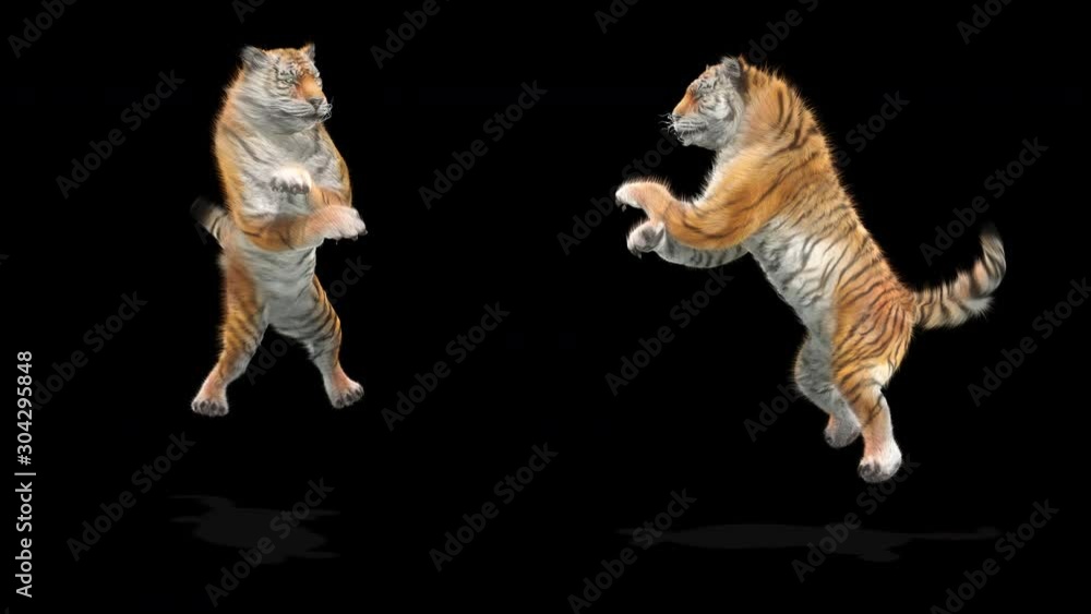 tiger CG fur 3d rendering animal realistic CGI VFX Animation Loop alpha ...