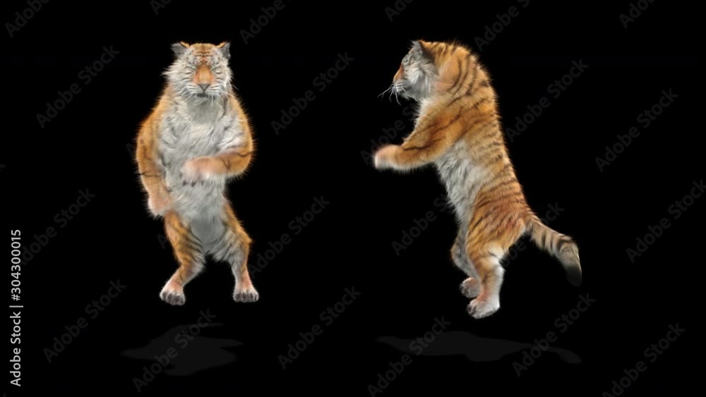tiger CG fur 3d rendering animal realistic CGI VFX Animation Loop alpha ...