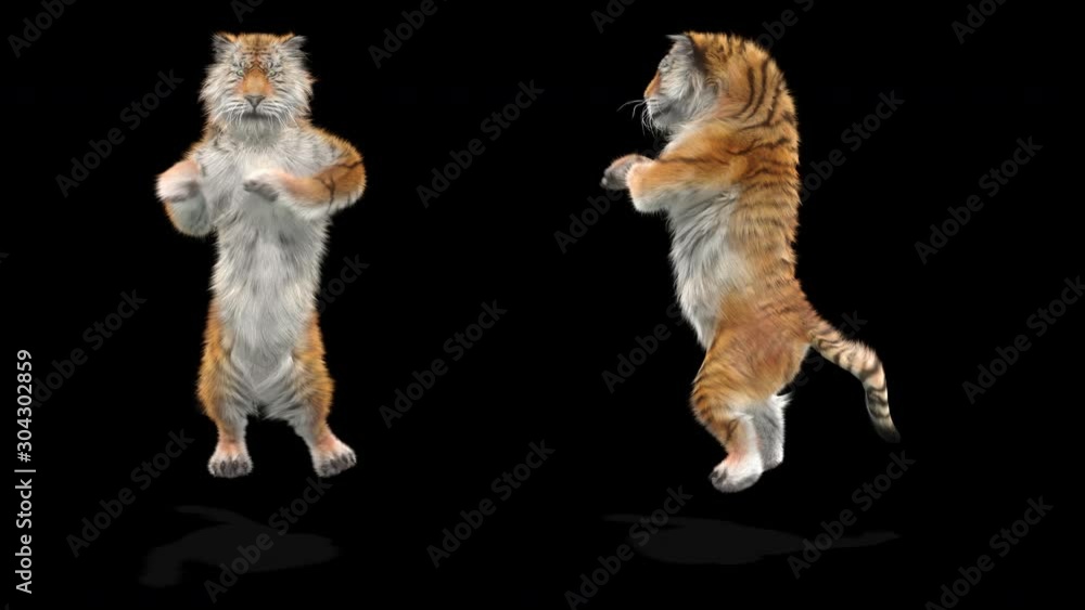tiger CG fur 3d rendering animal realistic CGI VFX Animation Loop alpha ...