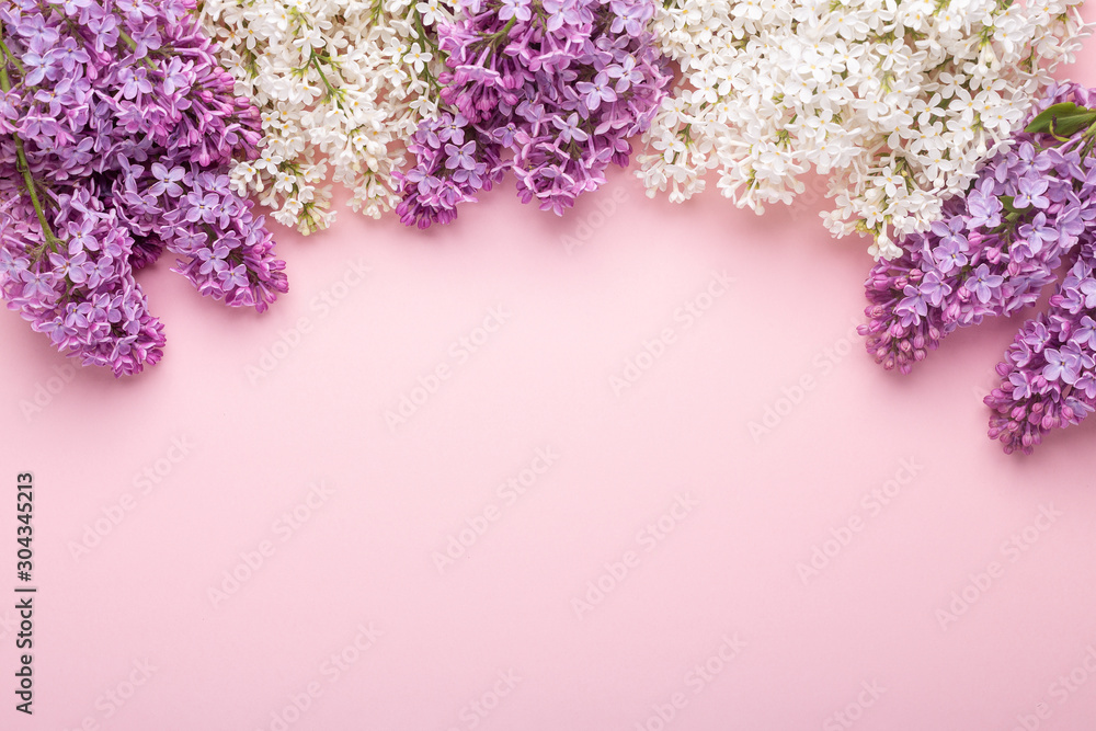 Branches of lilac on pink background. White and purple lilac. Romantic ...