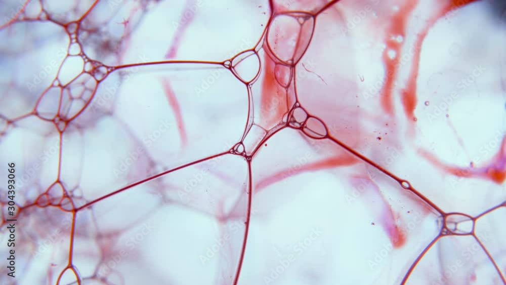 Microscopic view of foam structure, blood fluid flow, laboratory ...