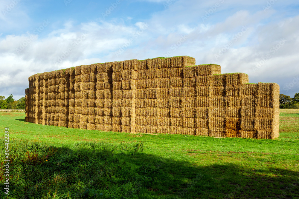 sheaves of hay stacked into wall on the field in england uk on a sunny ...