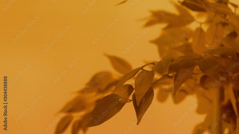 Alien plants with yellow leaf on habitable fantasy world. Space travel ...