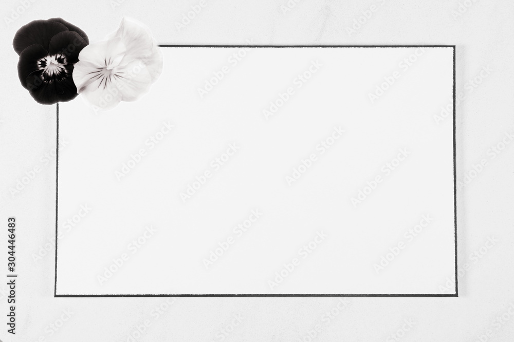 funeral Condolence card. petals on white marble background, Blank frame ...