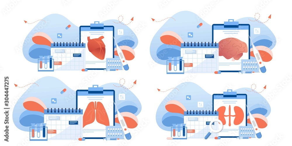 Doctor and human internal organ set. Anatomy concept. Kidney, lungs ...