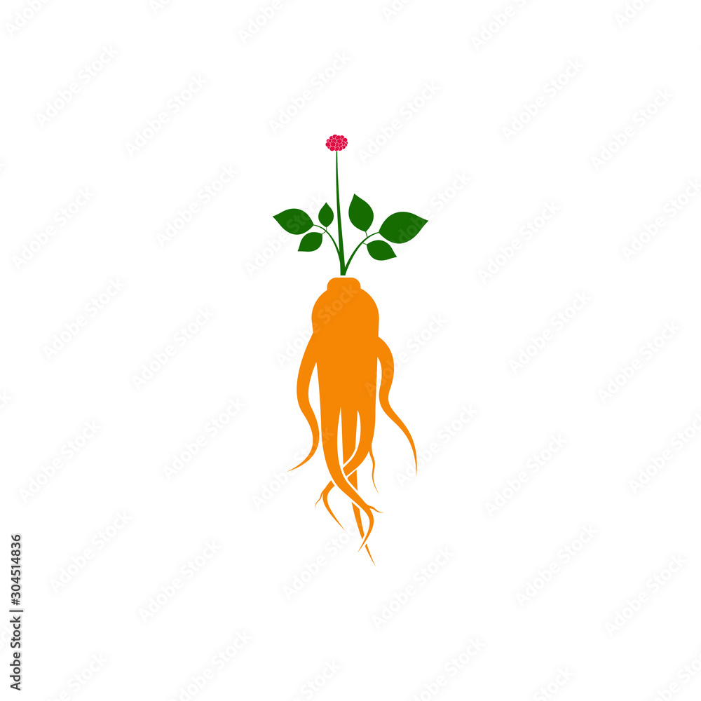 Ginseng icon symbol flat design isolated on white background. Vector ...