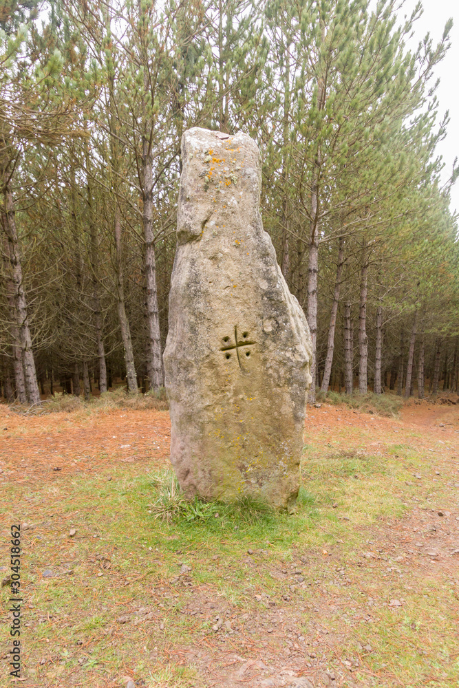 Very ancient menhir with inscriptions Stock Photo | Adobe Stock