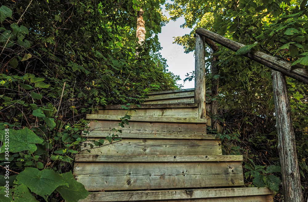 A rustic wooden staircase ascends to the top of an embankment through a ...