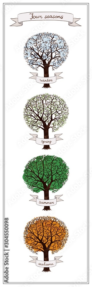 Figure four trees. They illustrate the seasons. Summer, autumn, winter ...