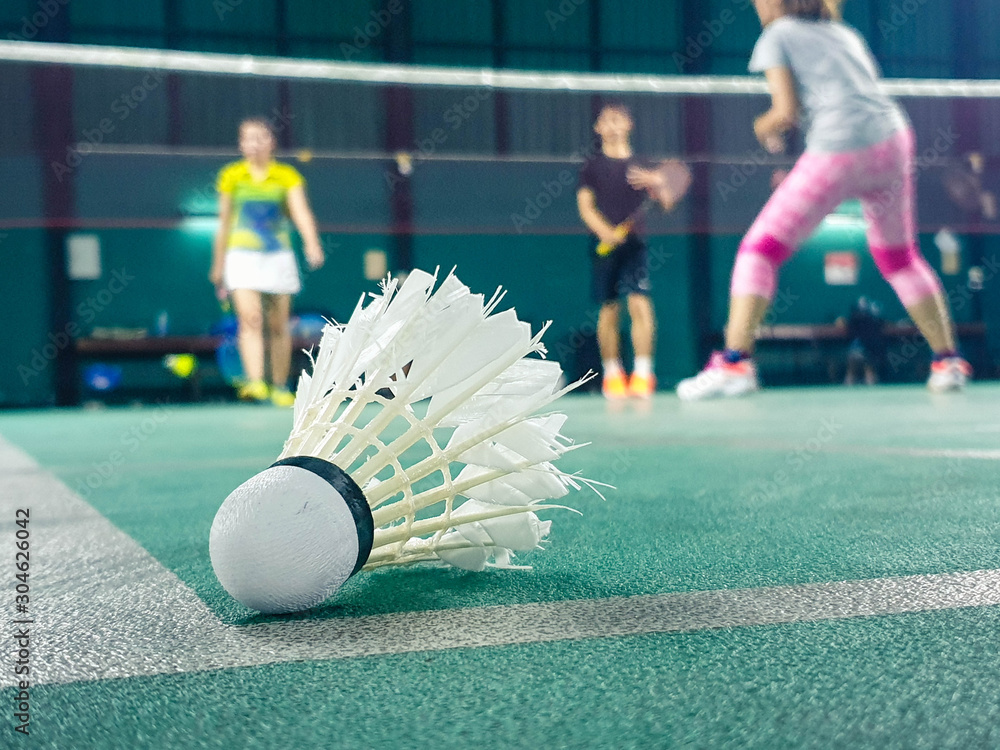 Shuttlecock on the badminton court Stock Photo | Adobe Stock