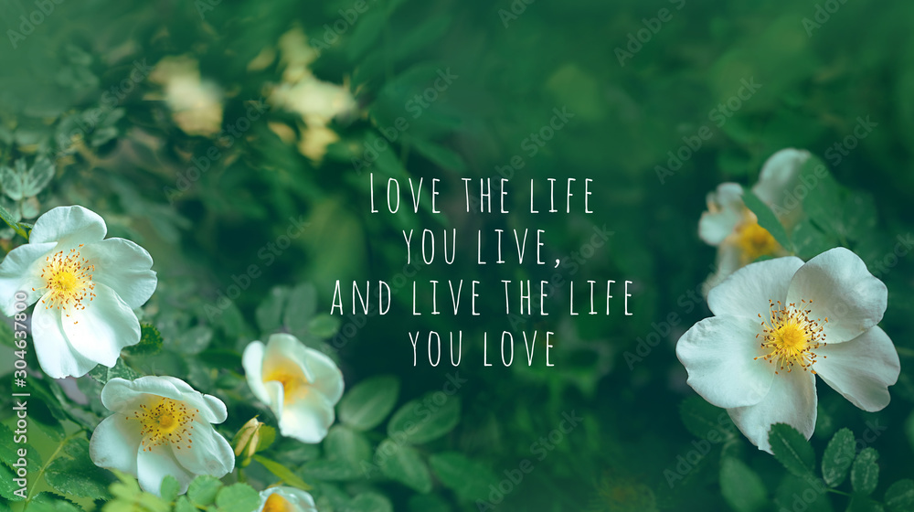 Life And Love Quotes Wallpaper Hd