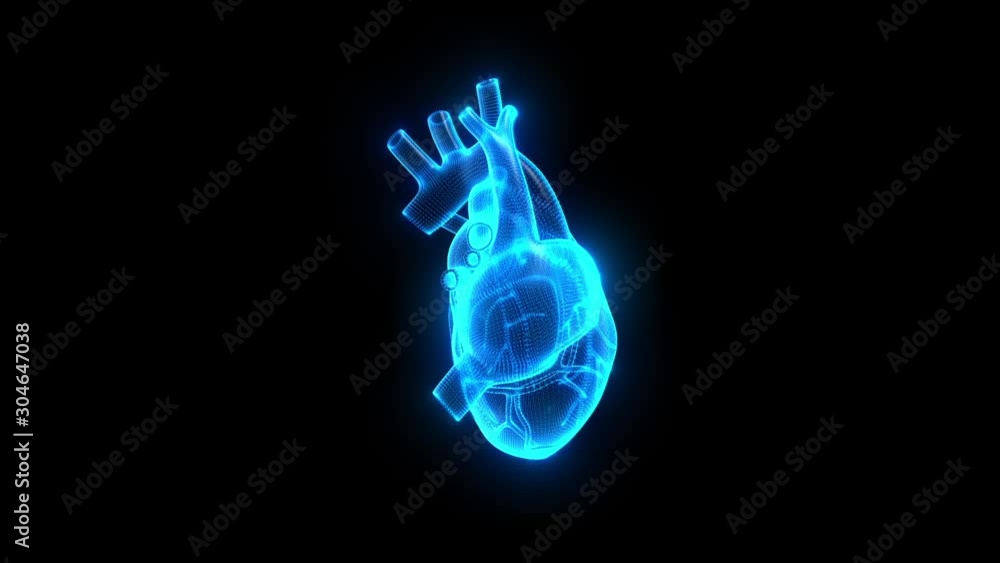 Perfect loop Human Heart animation with 3 pack and transparent. Stock ...