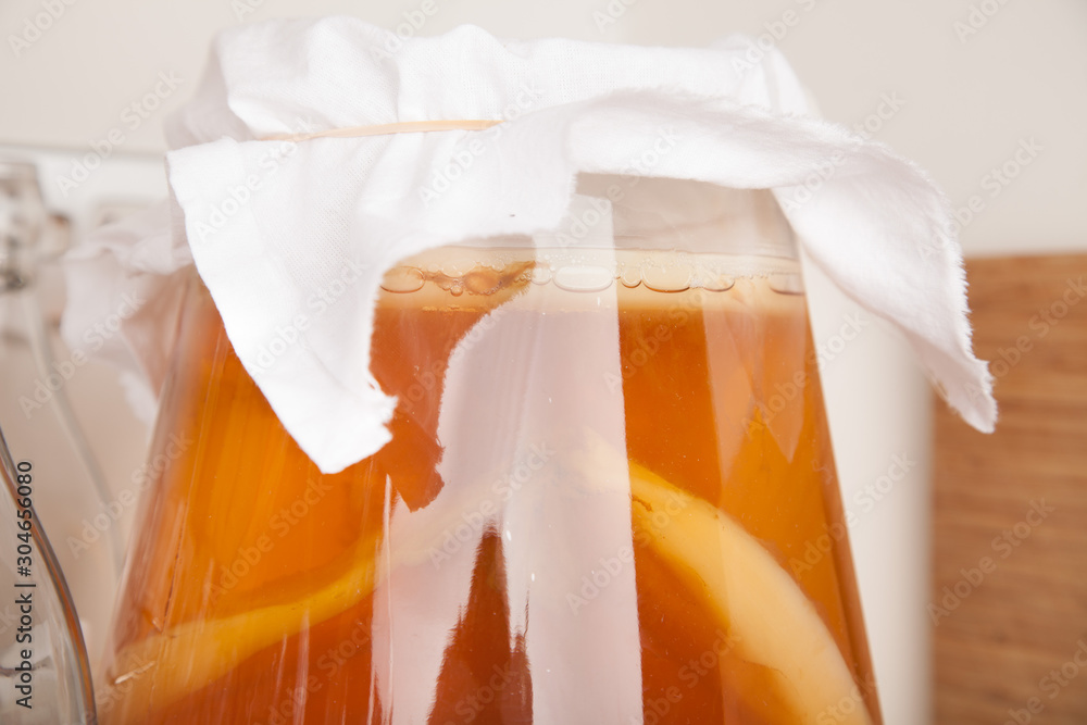 Kombucha Scoby Baby