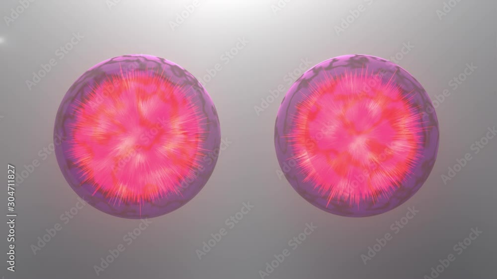 Pink Cell Splitting Animation. Looping animation video background ...