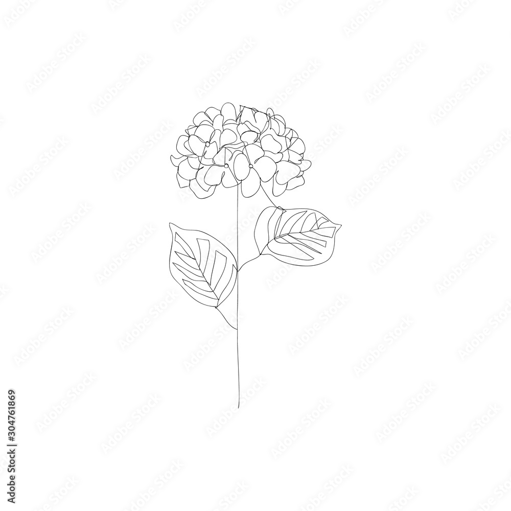 Hydrangea flower - one line drawing Stock Vector | Adobe Stock