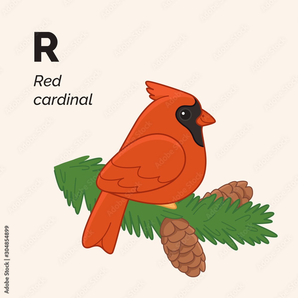 Cartoon red cardinal, cute character for children, bird collection ...