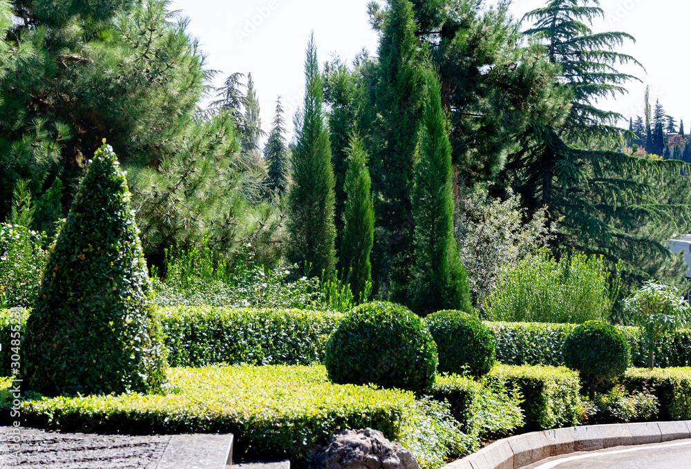 Picturesque example of topiary art with evergreens. Geometric figures ...