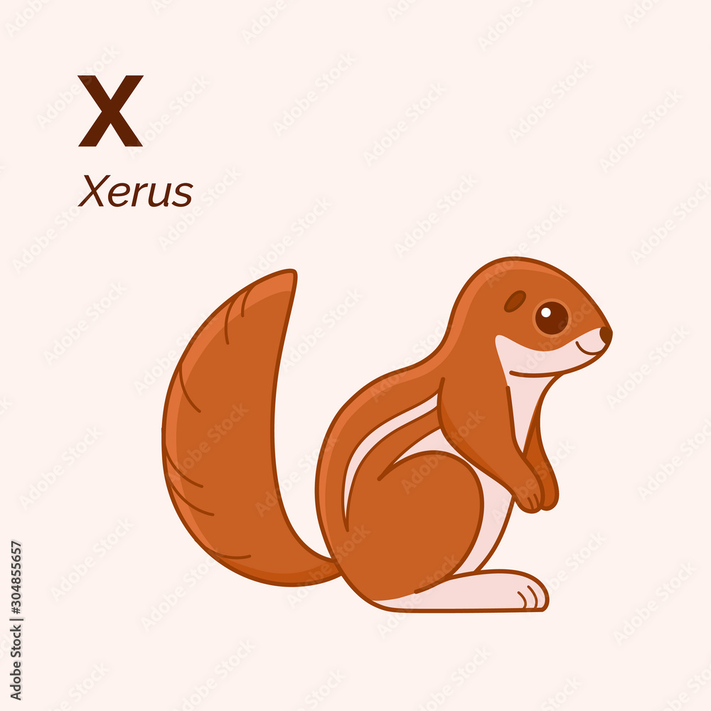Cartoon xerus, cute character for children. Vector illustration in ...