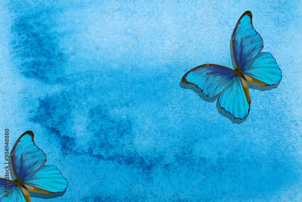 Blue morpho butterflies. Abstract blue watercolor background. Blue ...