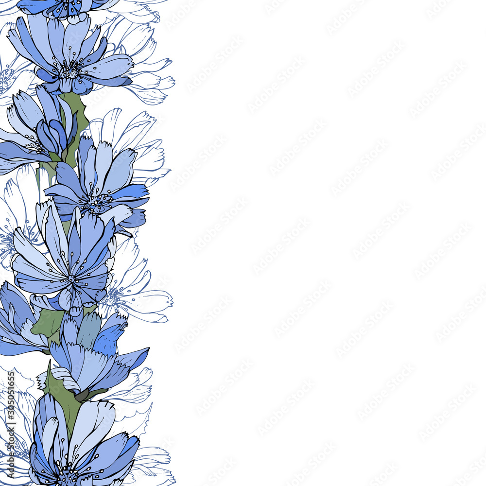 Floral vertical border with blue flowers chicory and green leaves on ...