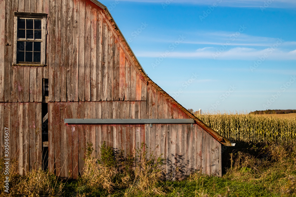 Barn With Corn Field Background