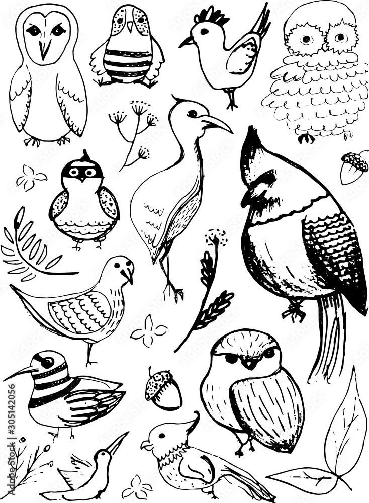 Set of hand drawn birds doodles. Vector sketch illustration Stock ...