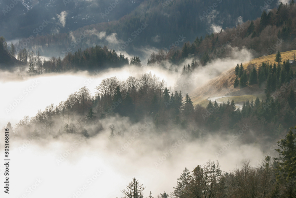 Fog rises in the valley and makes its way up the hill. The sun is ...