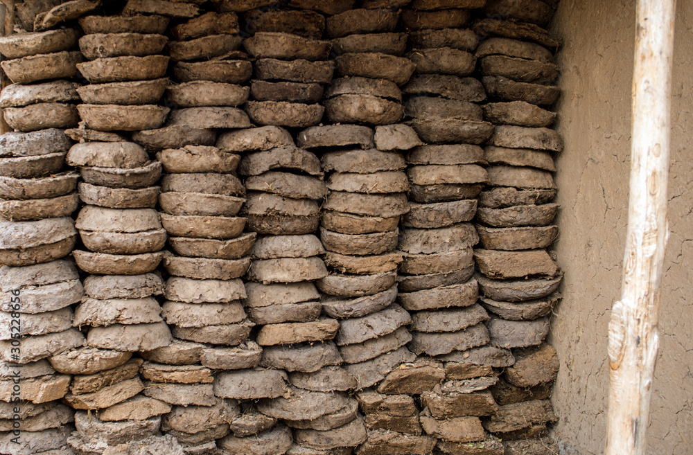 A bunch of blanks for heating the house is made of manure from cows and ...