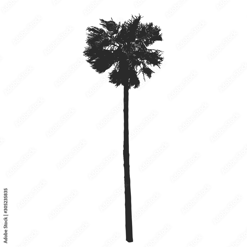 Realistic palm tree silhouette. Vector illustration. Stock Vector ...