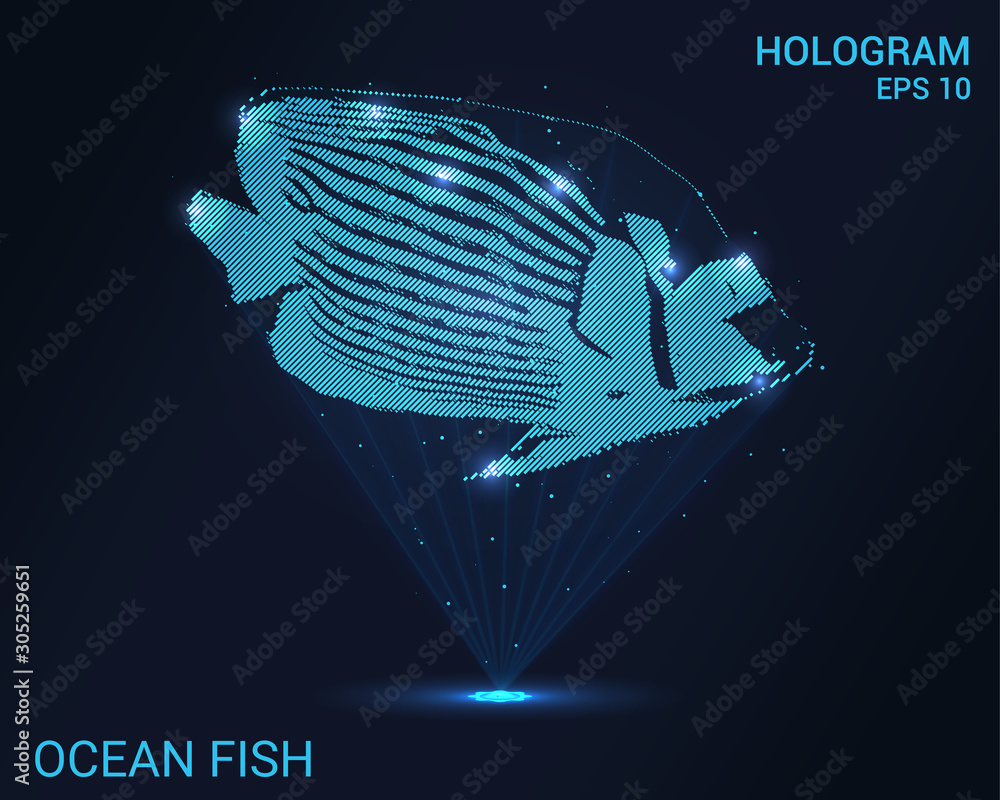 Hologram ocean fish. A holographic projection of the marine fish ...