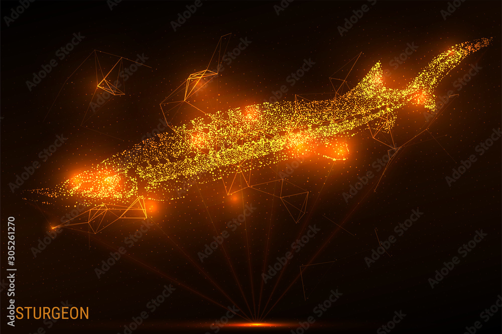 Light rays sturgeon. Hologram sturgeon. Golden glitter beluga. Sturgeon ...