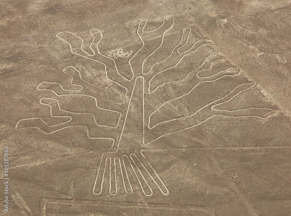 Tree geoglyph, Nazca mysterious lines and geoglyphs Stock Photo | Adobe ...